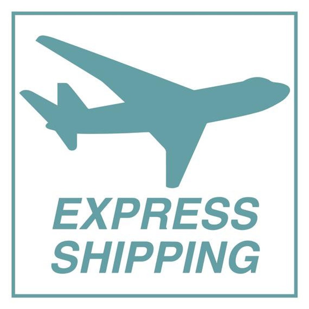 Express Shipping Add On - Etsy