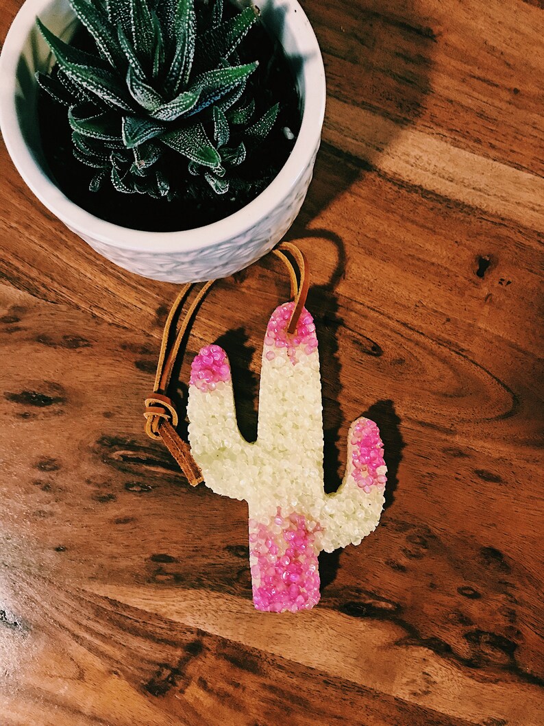 Cactus Car Freshie - Etsy