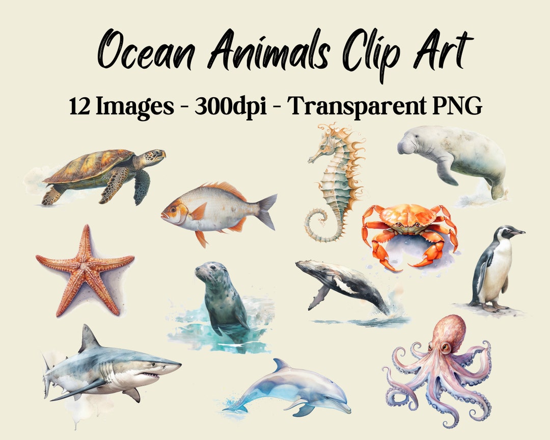 Ocean Animals Clip Art, 12 Png Images, 300 Dpi - Etsy