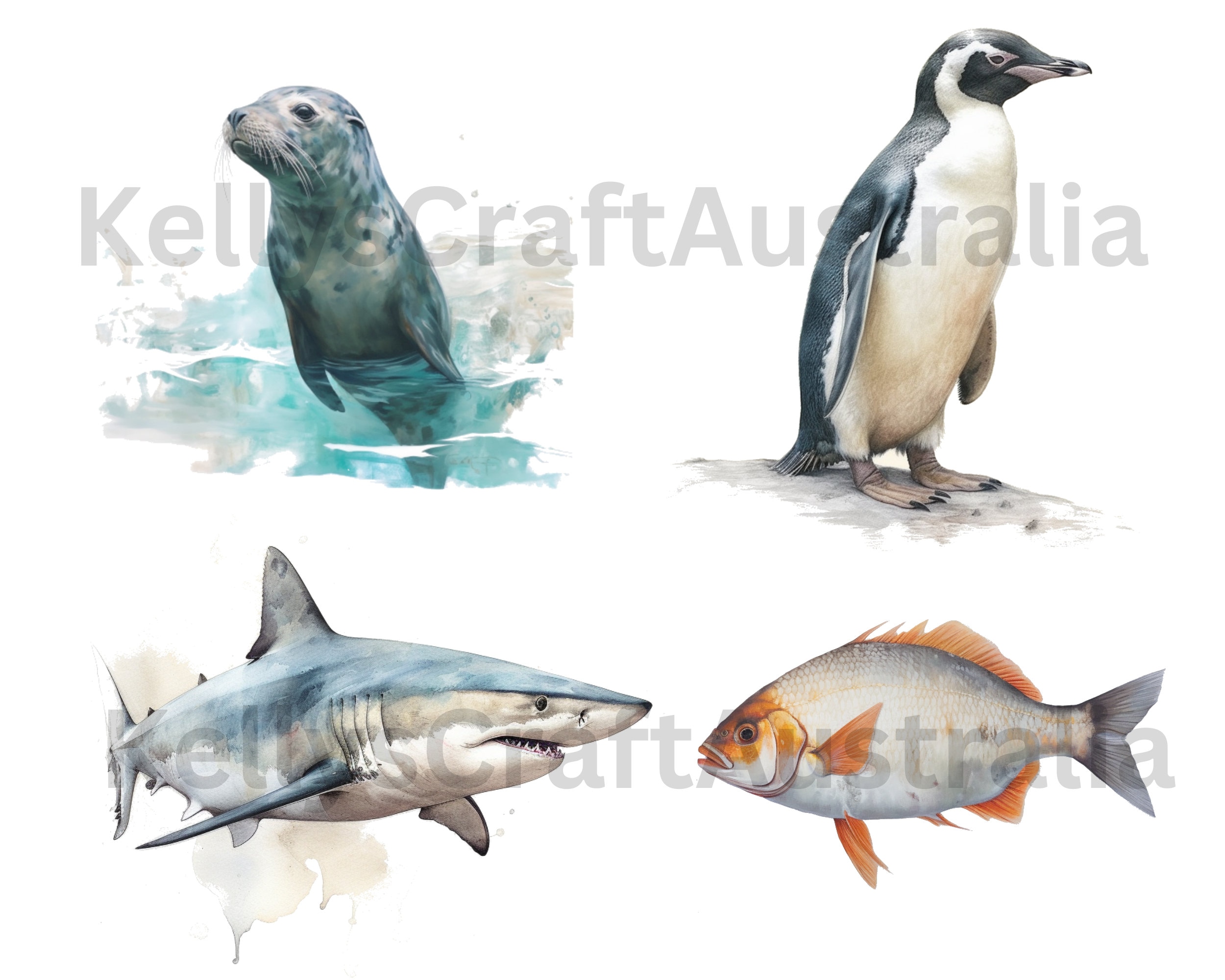Ocean Animals Clip Art, 12 Png Images, 300 Dpi - Etsy
