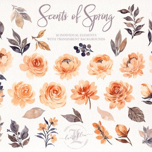 Spring Watercolor Floral Clipart, Spring Floral Elements and ...