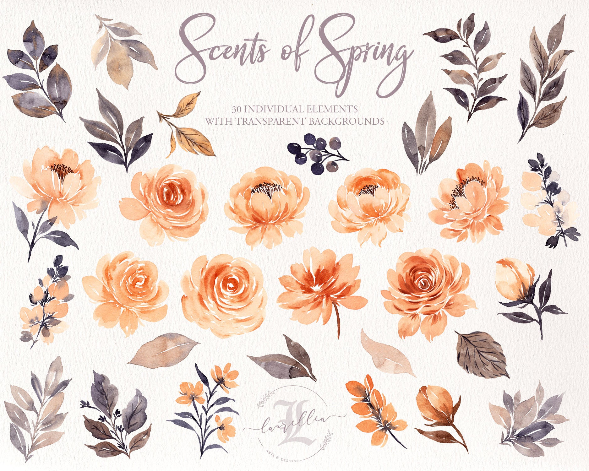 Spring Watercolor Floral Clipart, Spring Floral Elements and ...