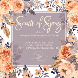 Spring Watercolor Floral Clipart, Spring Floral Elements and ...