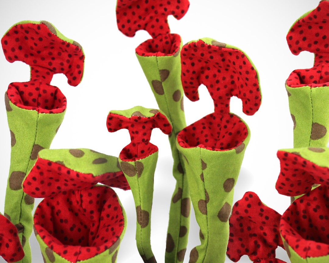 Pitcher Plant - Carnivorous PDF Sewing Pattern • Digital Download ...