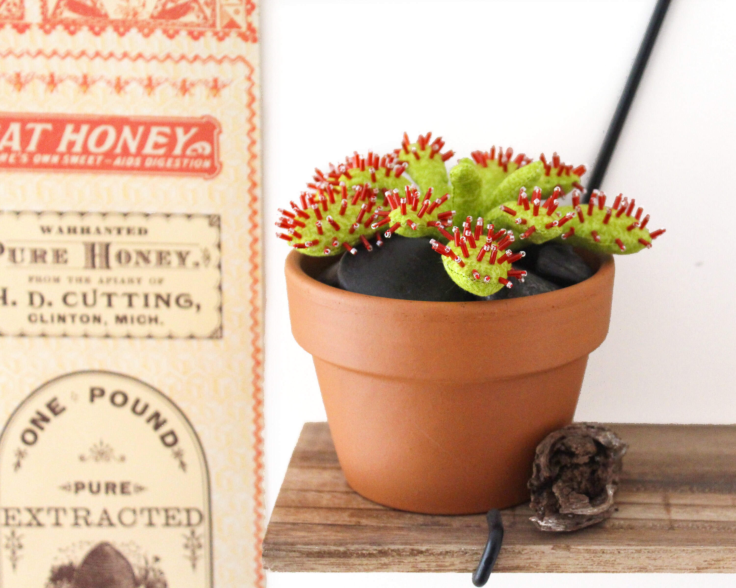 Sundew Carnivorous Plant PDF Sewing Pattern Digital | Etsy