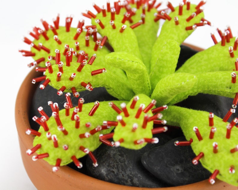 Sundew Carnivorous Plant PDF Sewing Pattern Digital | Etsy