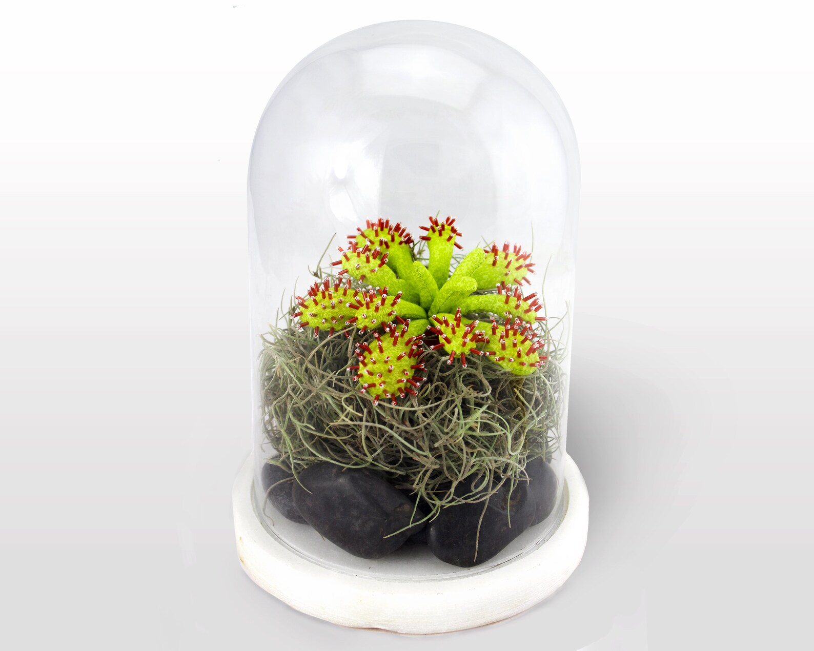 Sundew Carnivorous Plant PDF Sewing Pattern Digital | Etsy