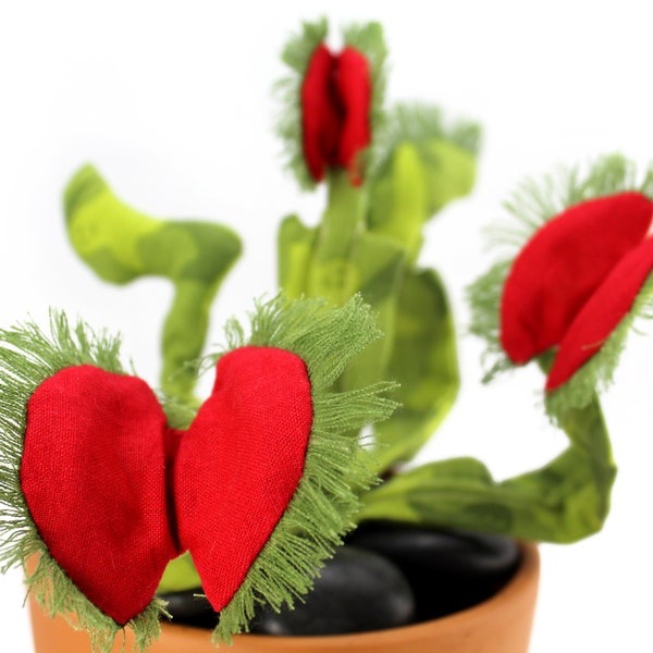 Venus Fly Trap - Etsy