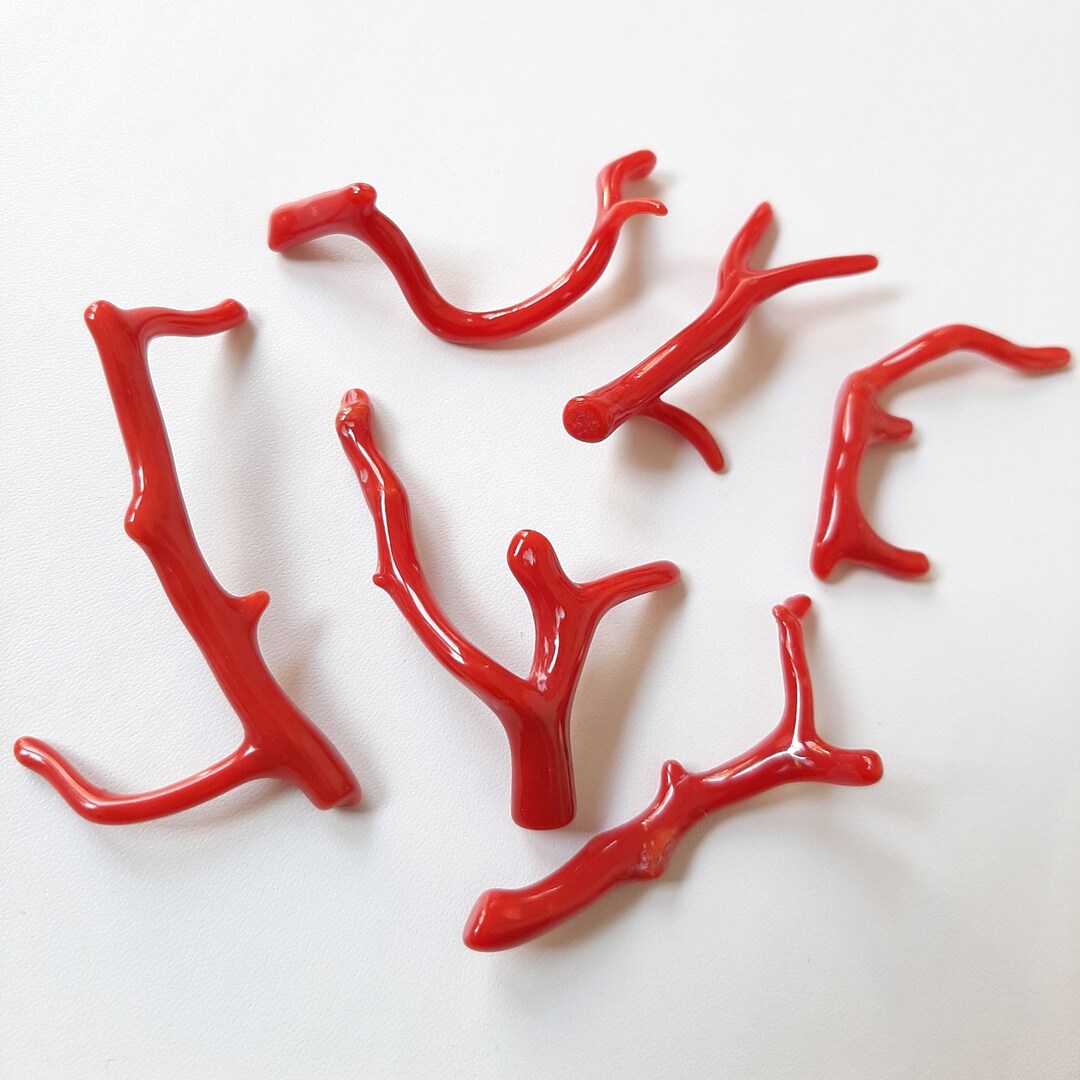 Beautiful !! Italian Red Coral Branch Gemstone, Coral Shiny Polished ...
