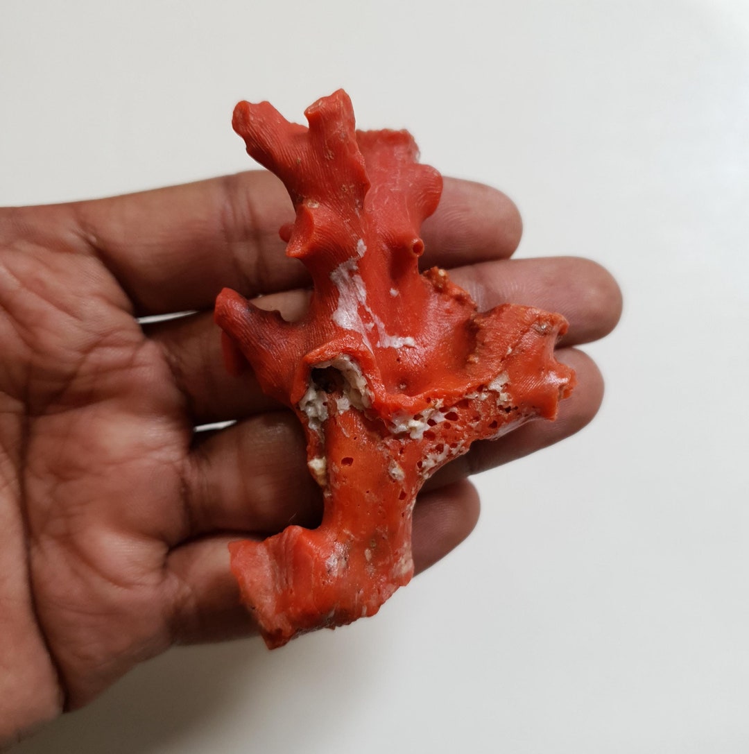 100% Natural Italian Red Coral Branch, Loose Red Coral Rough Reef ...