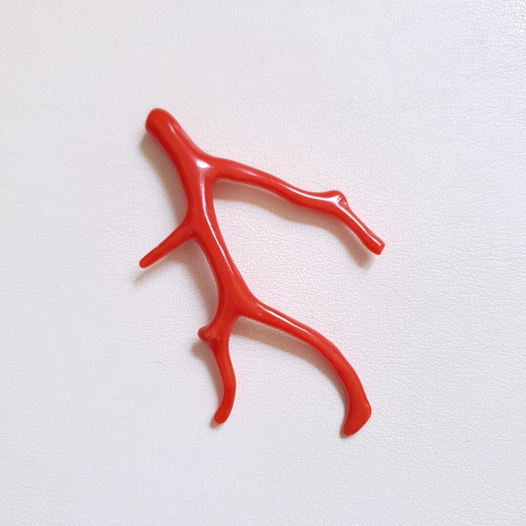 Mediterranean Natural Deep Sea Red Coral Branch Undyed Italian Red ...
