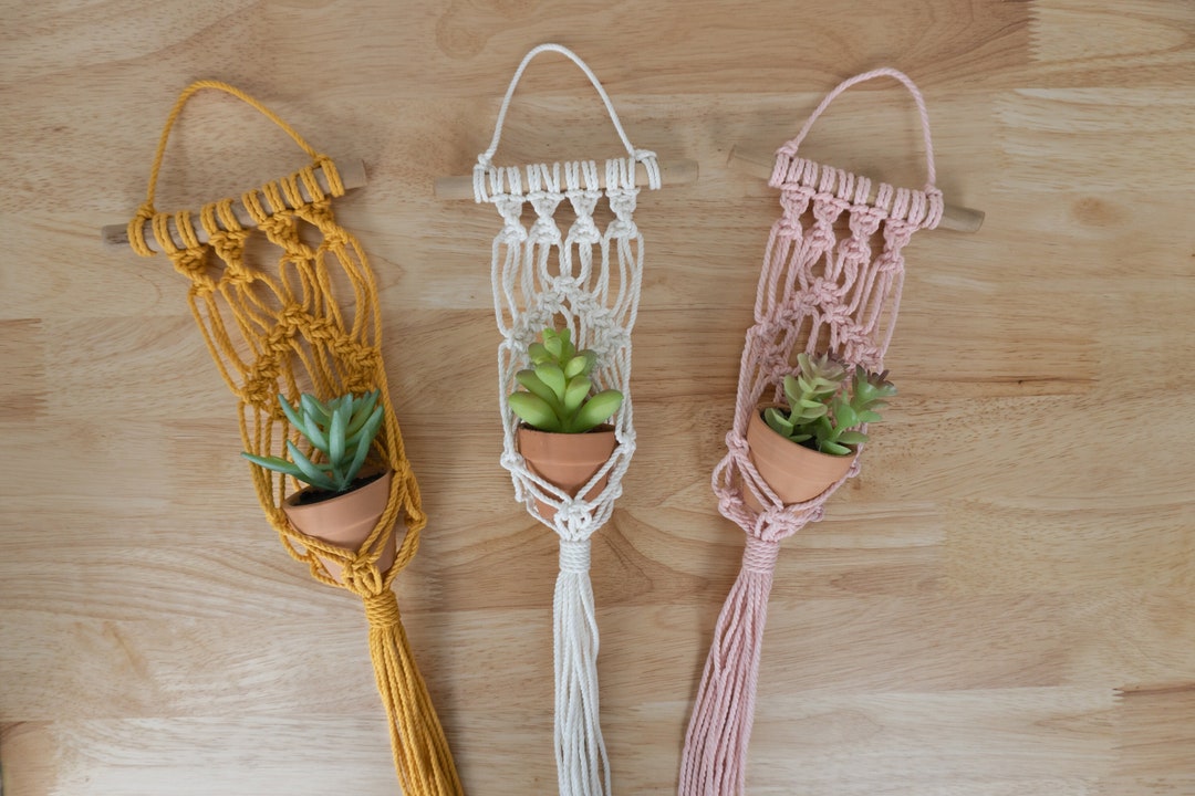 Mini Macrame Plant Hanger, Boho Plant Holder, Plant Lover Gift, Mother ...