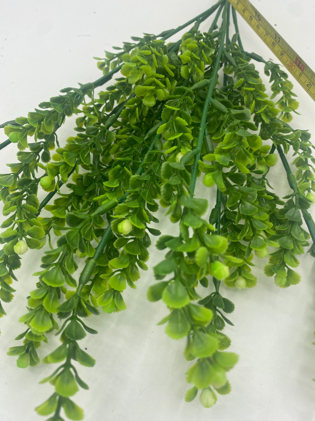 X7 Plastic Mini Shell Leaf - Green - CS14627 - Etsy