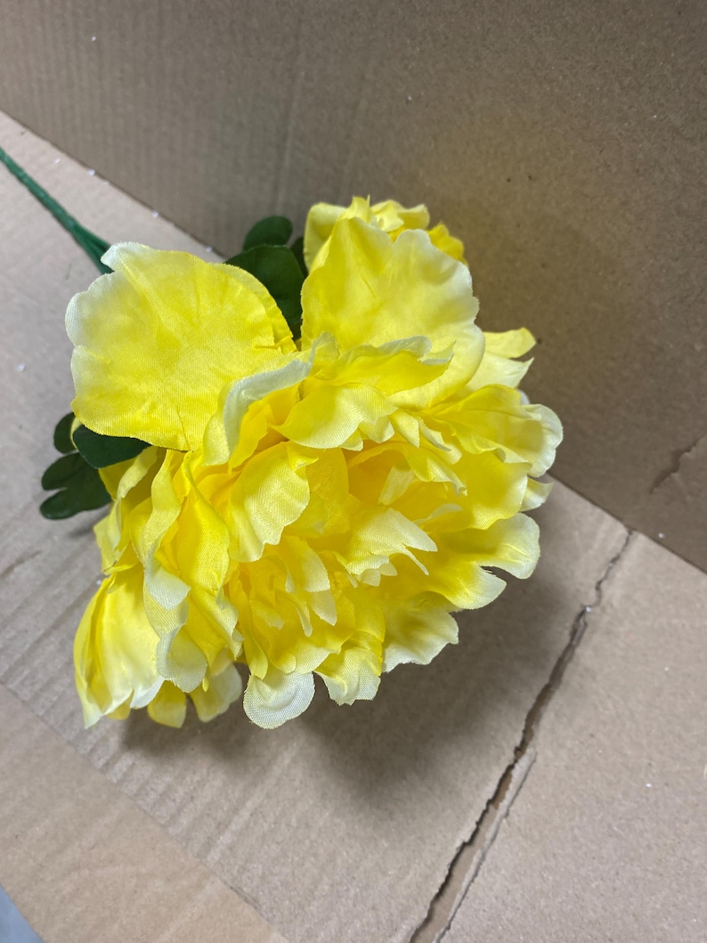 X5 Peony Bush - Yellow - CS26015Y - Etsy