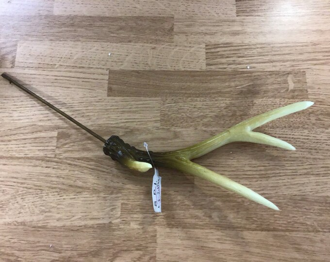 Faux Buck Horn, Fake Deer Horn, Faux Deer Antler, Deer Horn, Buck Horn ...