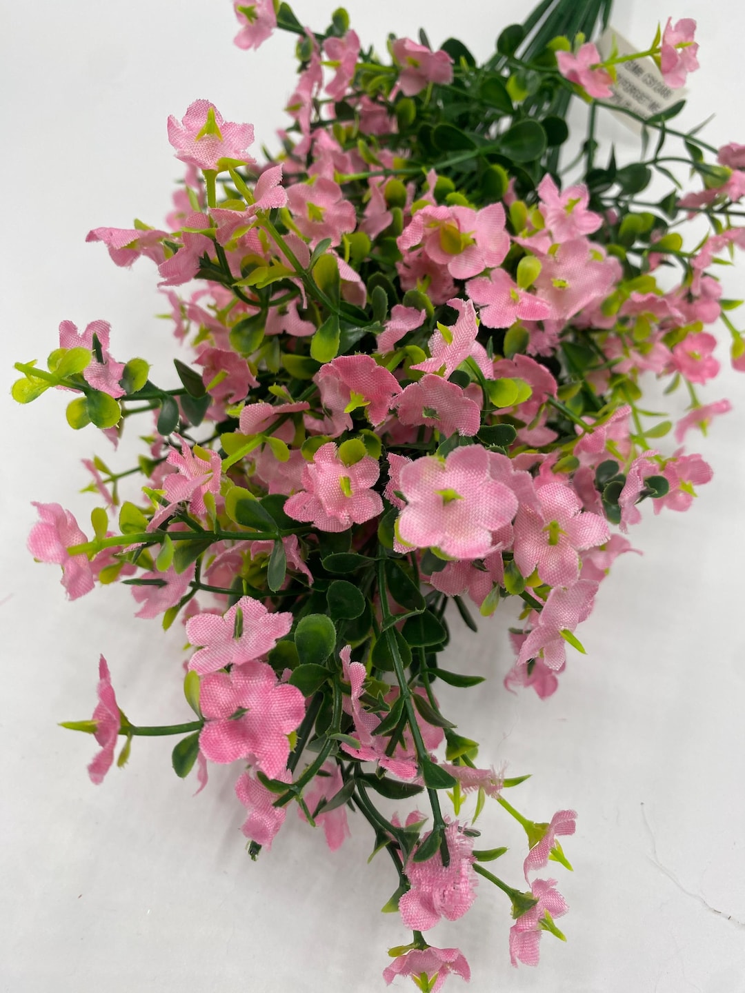 X18 Plastic Forget Me Not - Pink CS12488PNK - Etsy
