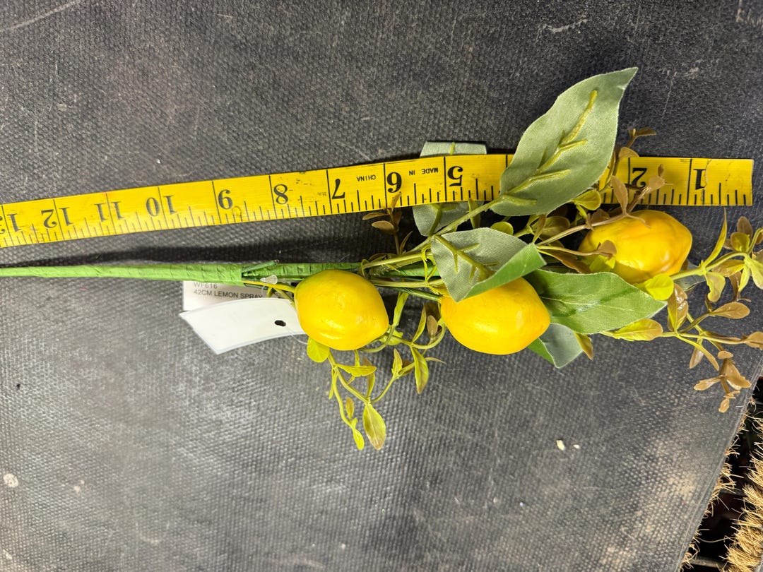 16.5" Lemon Pick W/silk & Plastic Leaves WF616 - Etsy