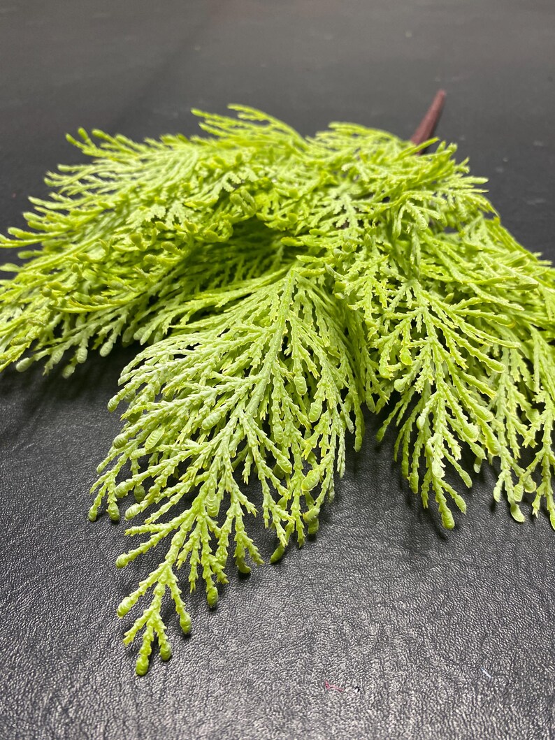 X7 Frosted Cedar - Green - CS12847F - Etsy