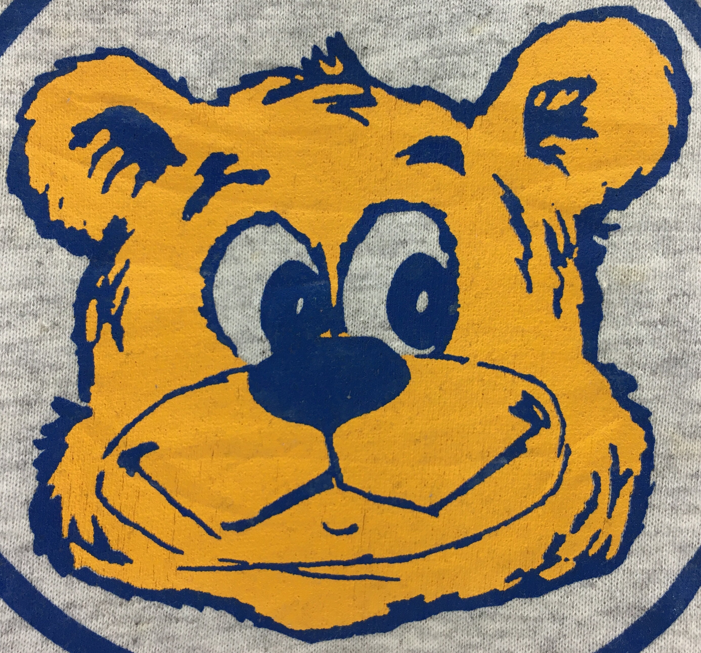 Ucla Logo Bear