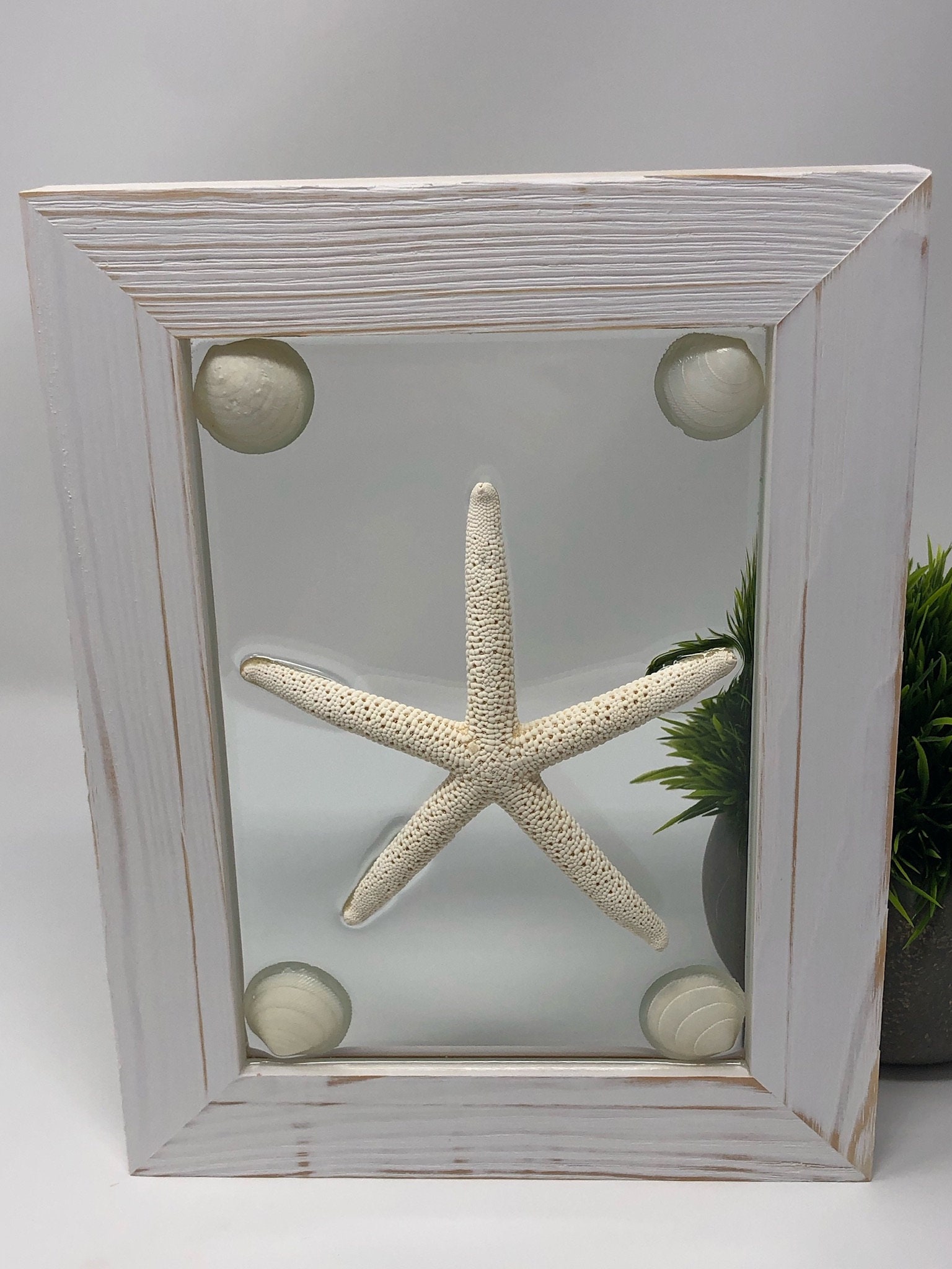 Starfish, White Starfish, Beach, Beach Art, Beach Art Wall Decor ...
