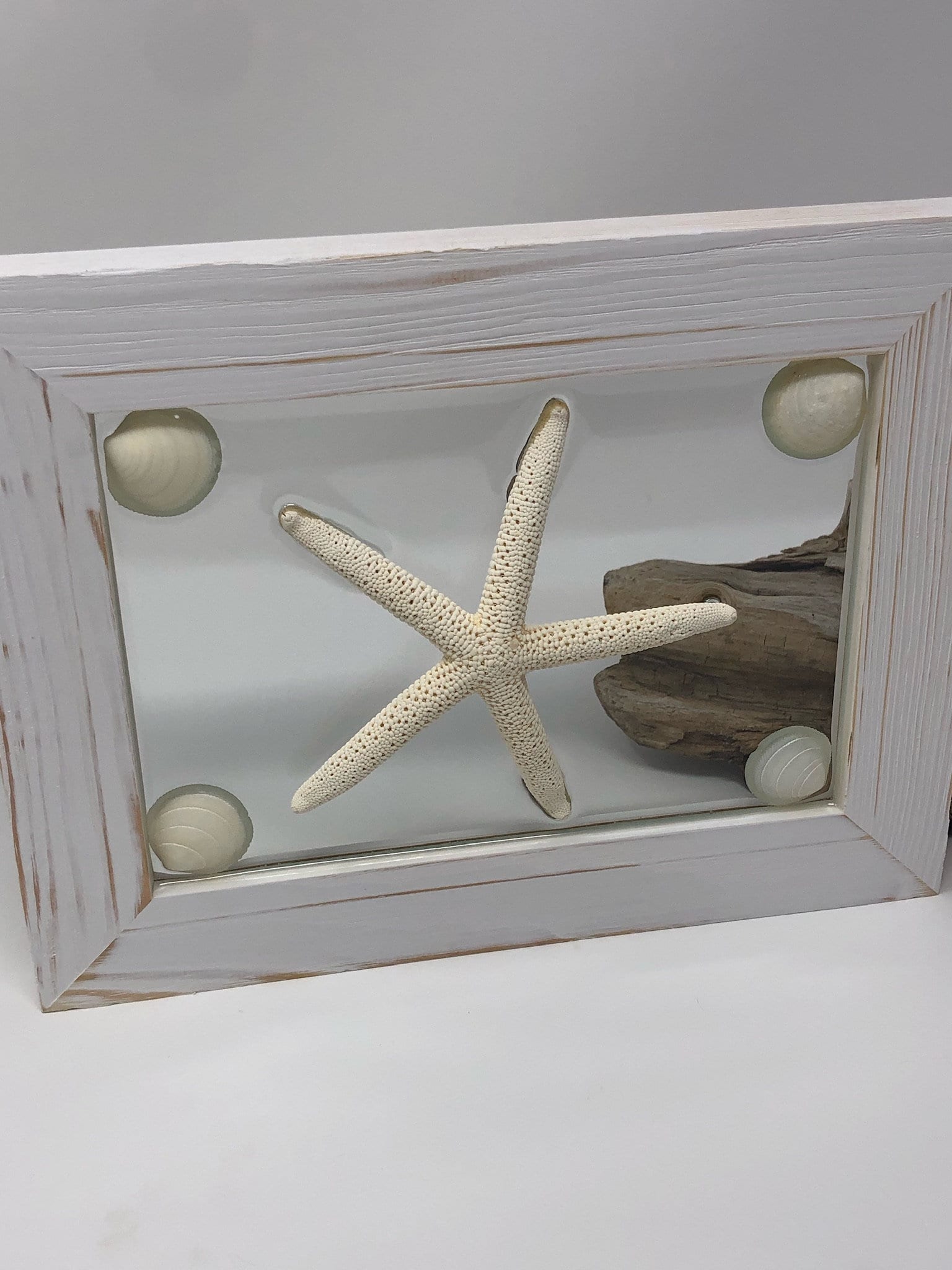Starfish, White Starfish, Beach, Beach Art, Beach Art Wall Decor ...