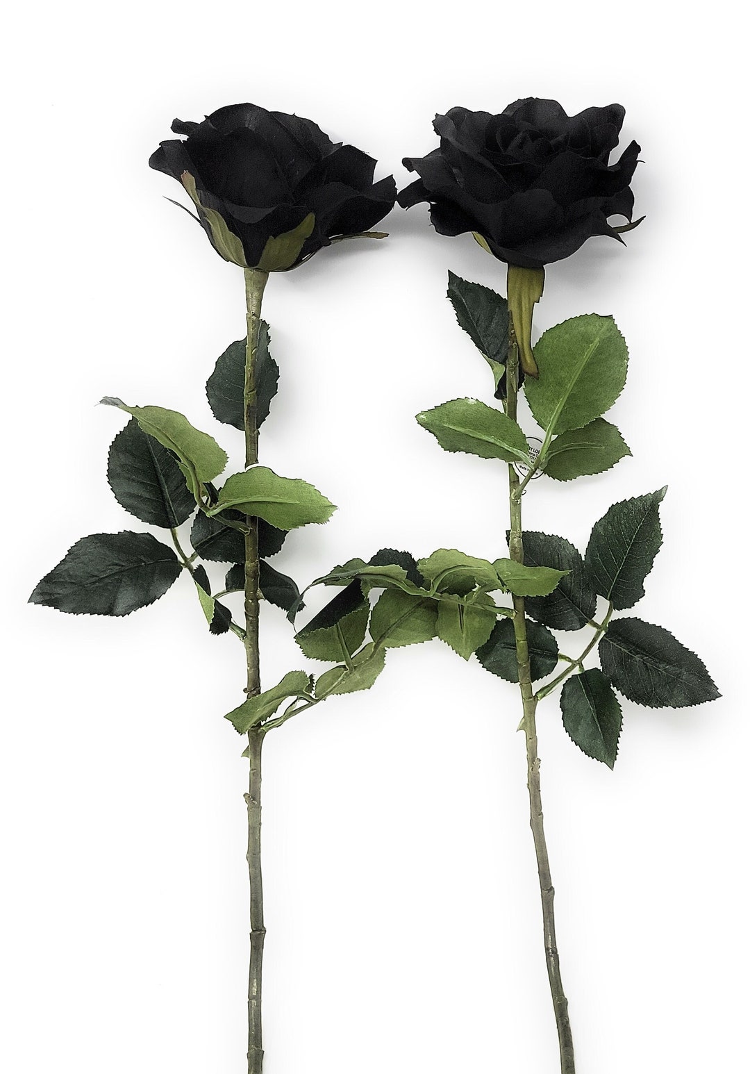 26" Black Rose, Artificial Blooming Blossoms Flower Stem (set of 2) - Etsy