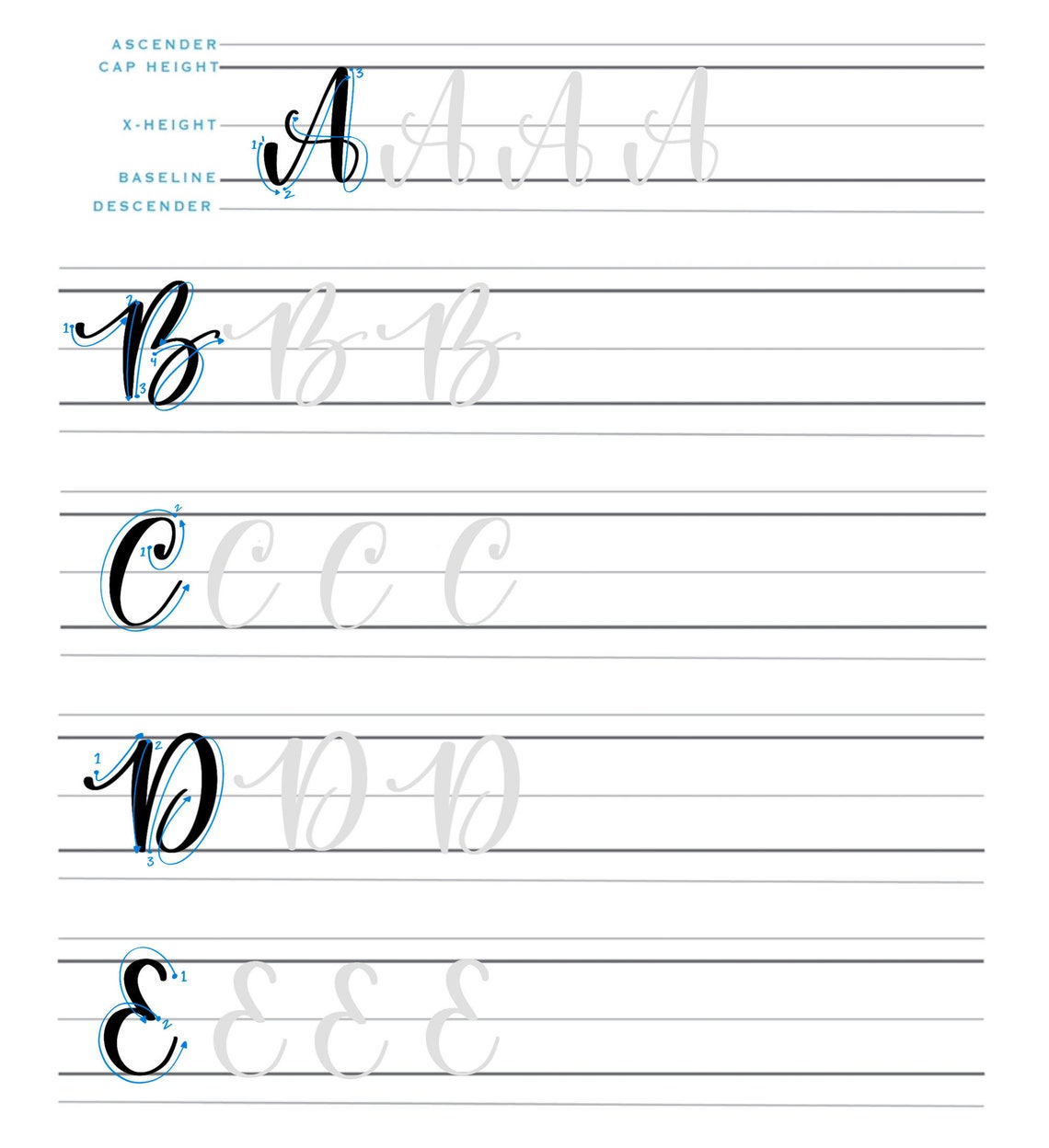 Hand Lettering and Modern Calligraphy Script Worksheets for Beginners ...