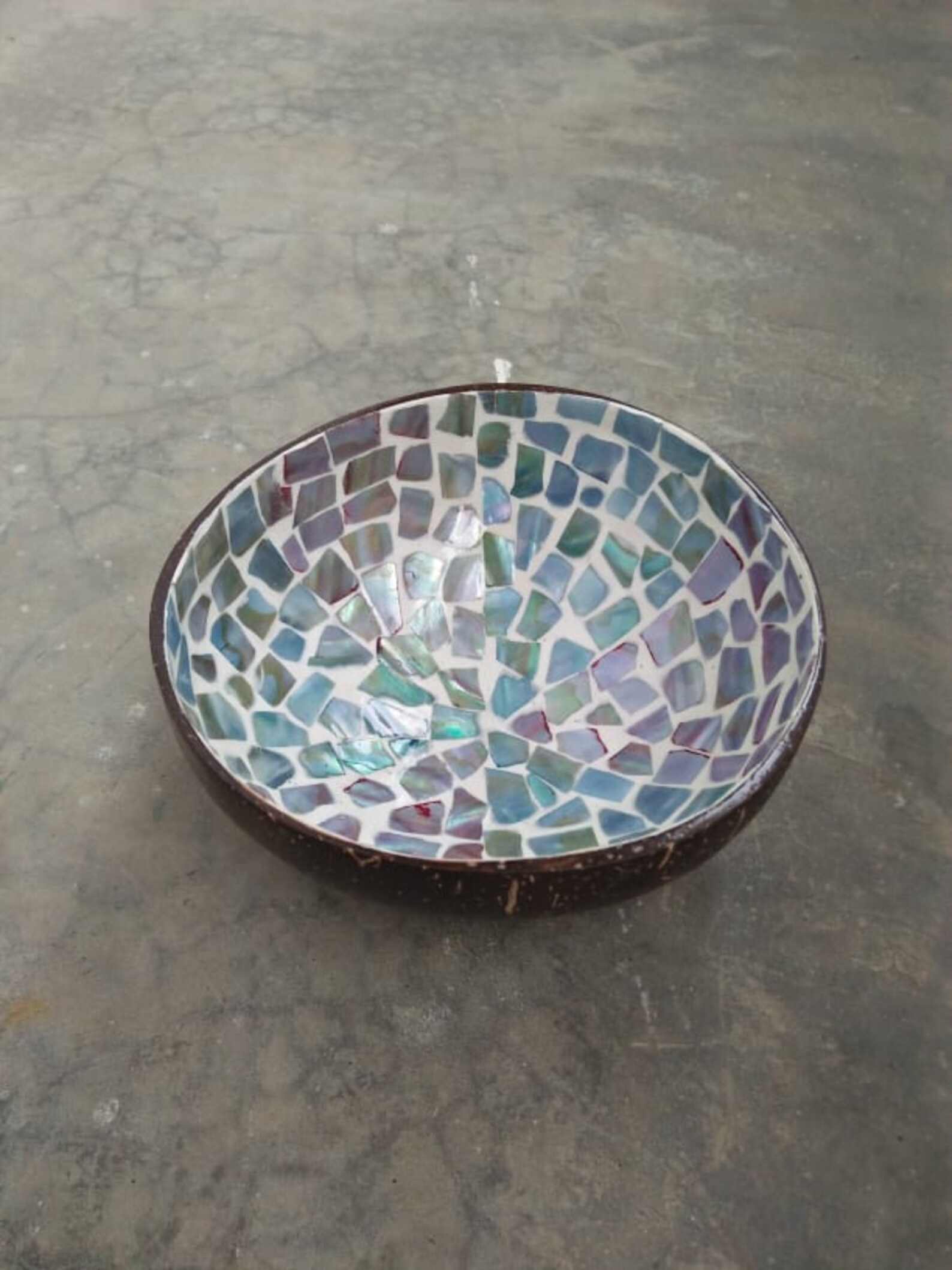 Blue Coconut Shell Bowl / Coconut Shell Bowl / Coconut Shell - Etsy