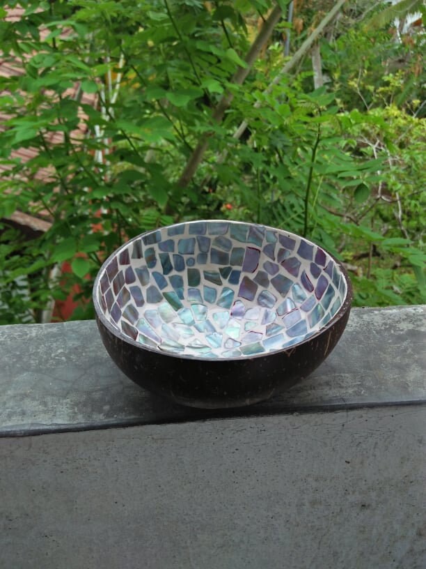 Blue Coconut Shell Bowl / Coconut Shell Bowl / Coconut Shell - Etsy