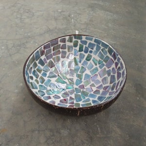 Blue Coconut Shell Bowl / Coconut Shell Bowl / Coconut Shell - Etsy