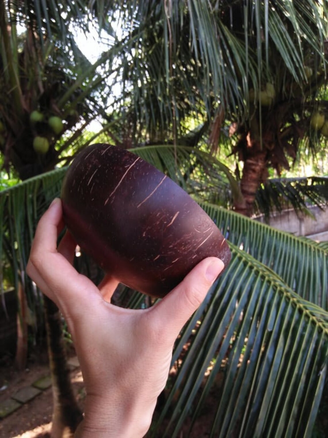 Blue Coconut Shell Bowl / Coconut Shell Bowl / Coconut Shell - Etsy