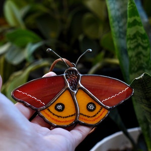 Peacock Moth | Io Moth | Automeris Io Moth | Brick Red and Yellow Moth ...