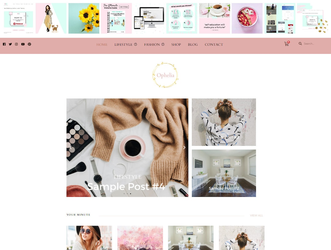 Wordpress Theme Pre Built Website, Custom Ecommerce Website, Online ...