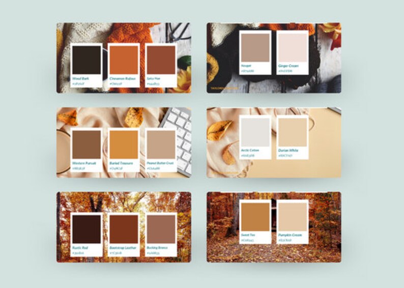 Fall Inspired Color Palettes - Etsy