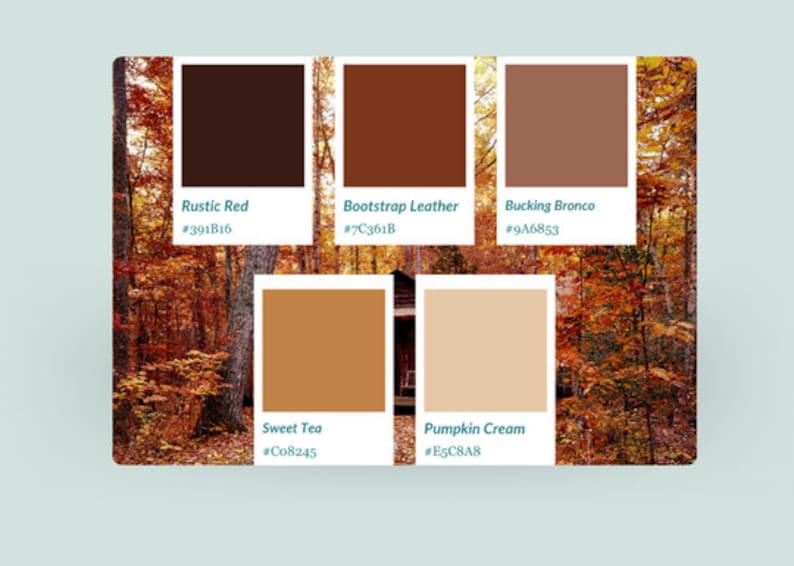 Fall Inspired Color Palettes - Etsy