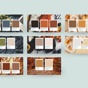 Fall Inspired Color Palettes - Etsy