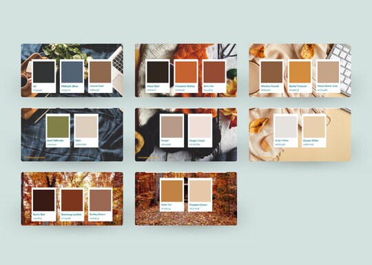 Fall Inspired Color Palettes - Etsy