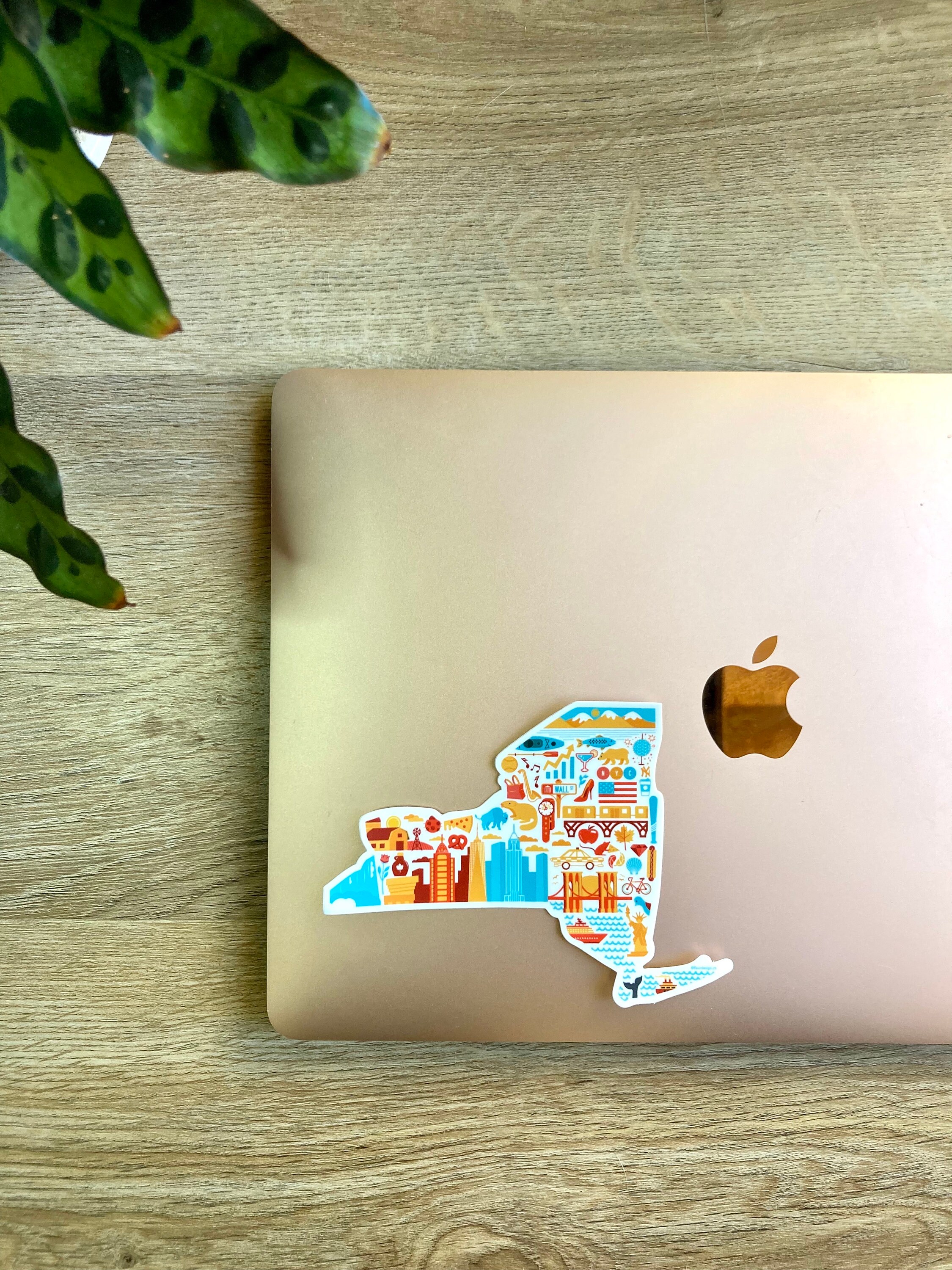 New York Sticker New York Souvenir New York State Gift - Etsy