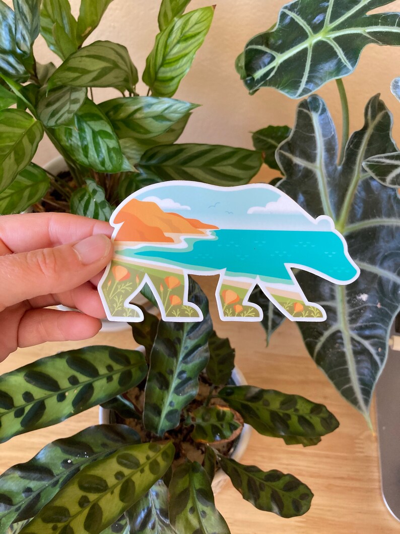 California Bear Vinyl Sticker, California Poppy Sticker, Laptop Sticker ...