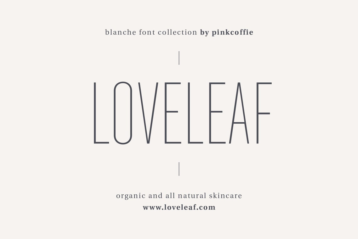 Blanche Font Pack, Logo Pack, Sans Serif Font, Modern Font ...