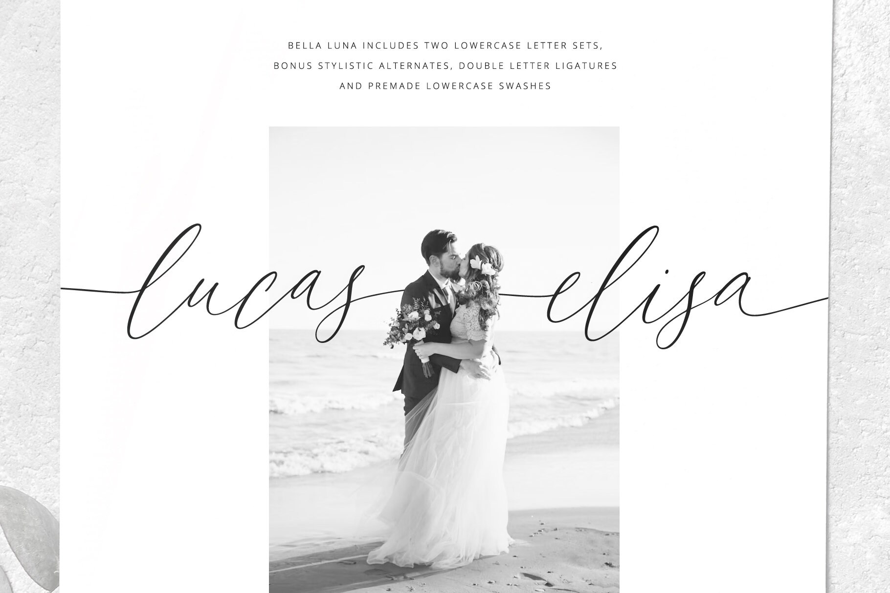 Bella Luna Script Font, Wedding Font, Elegant Font, Calligraphy Font ...