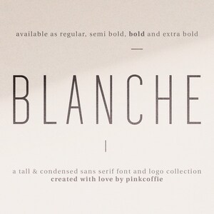 Blanche | Font Pack, Logo Pack, Sans Serif Font, Modern Font ...