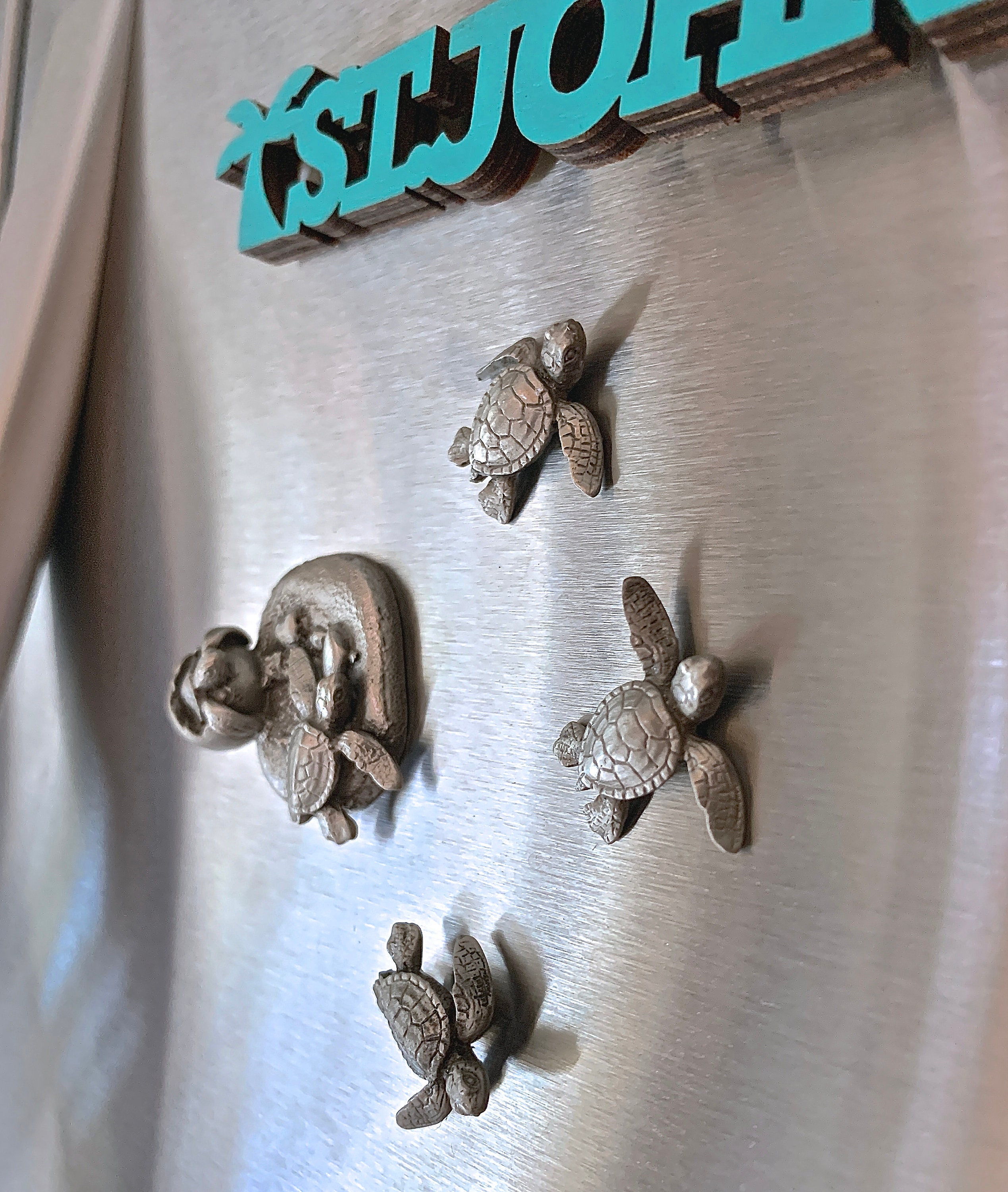 Baby Sea Turtle Magnets Sea Life Magnets Gifts for Turtle - Etsy