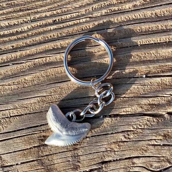 Shark Tooth Ring - Etsy