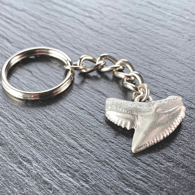 Shark Tooth Keychain Shark Tooth Keyring Tiger Shark Tooth - Etsy