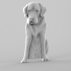 Labrador Dog 3d STL Model for CNC Router and 3d Printing - Etsy