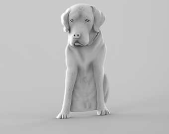 Labrador Dog Stl File for 3D Printing - Etsy