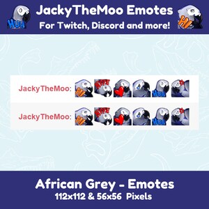 6 African Grey Emotes - Stream, Chat, Discord, Emotes, Badges, Twitch ...