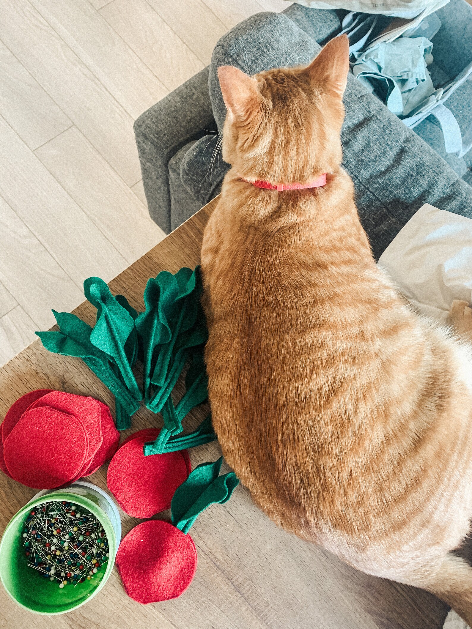 Woolen Crunchy Catnip Radish Wool Catnip Radish Catnip - Etsy