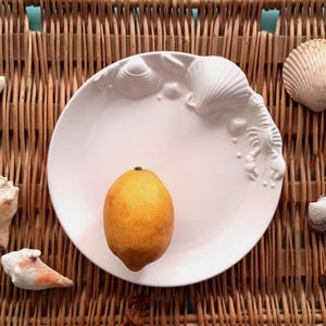 Set 4 Seashell Shell Lobster Plates, Japan White, Ceramic, Vintage ...